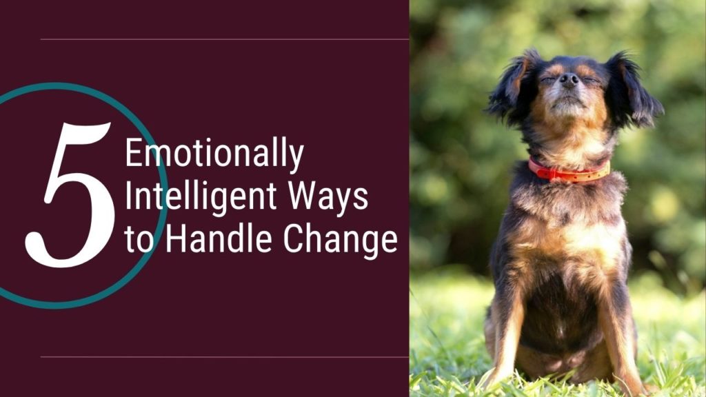 5 Tips to Handle Changle | Change Management | Dr. Judy Morley